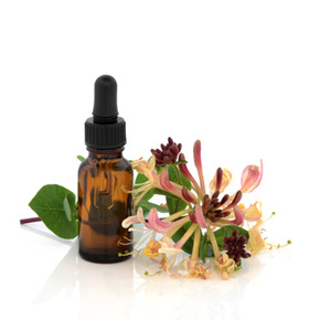 Flower Remedies - New Leaf Natural Medicine
